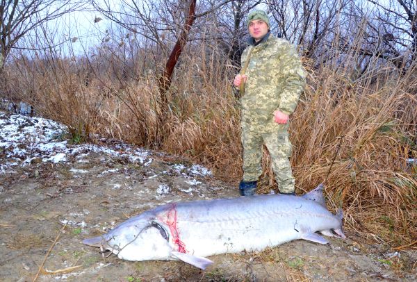 WWF - POACHING OF STURGEON REMAINS AN ISSUE IN THE LOWER DANUBE